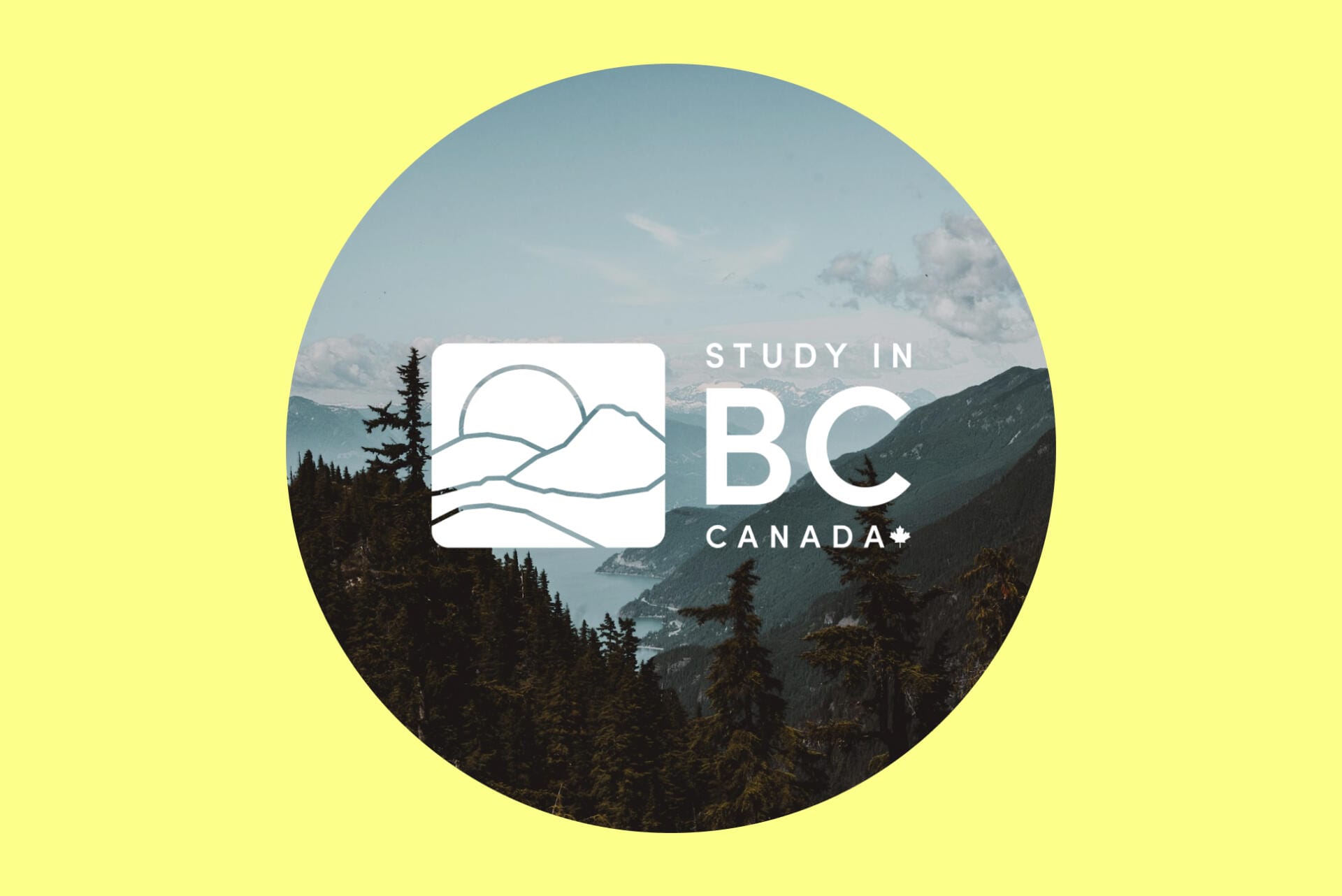 2023 Study in BC Writer’s Award: Applications Now Open • BCCIE